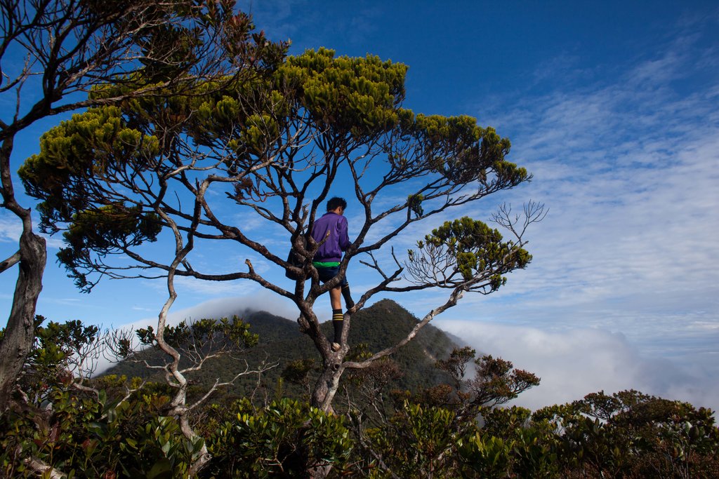 Climb Mt. Trusmadi - 8-Day Itinerary | kimkim