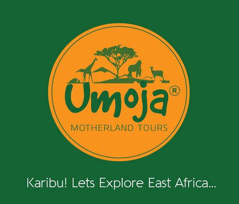 Umoja Motherland Tours Company Profile | kimkim