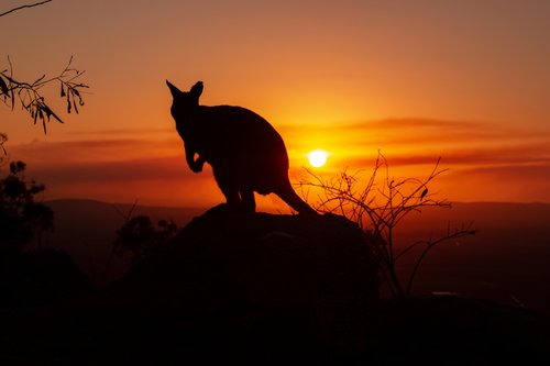 Australia Tours and Itineraries - Plan your trip to Australia with a ...