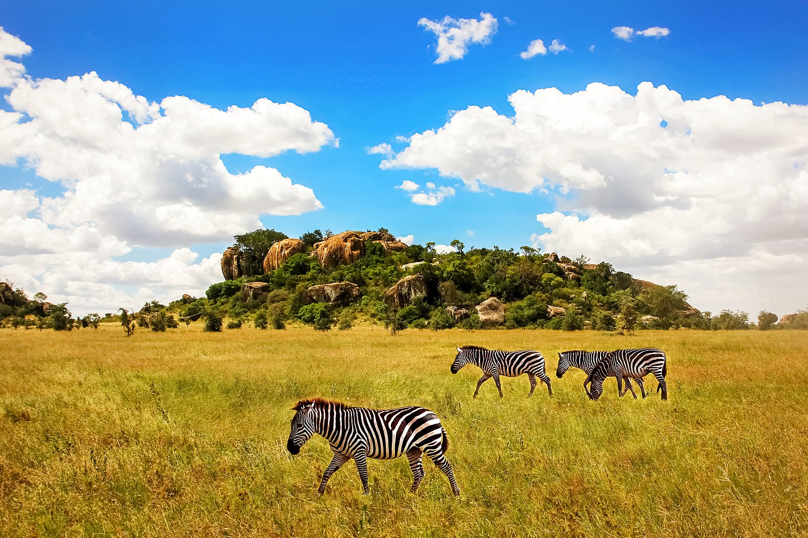 Tanzania Tours and Itineraries - Plan your trip to Tanzania with a ...