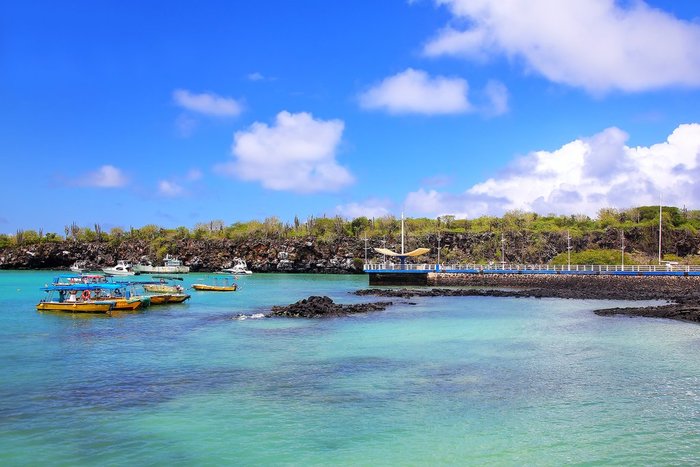 Quito to the Galapagos Islands - Best Routes & Travel Advice | kimkim