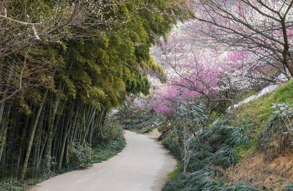 South Korea In March Travel Tips Weather More Kimkim