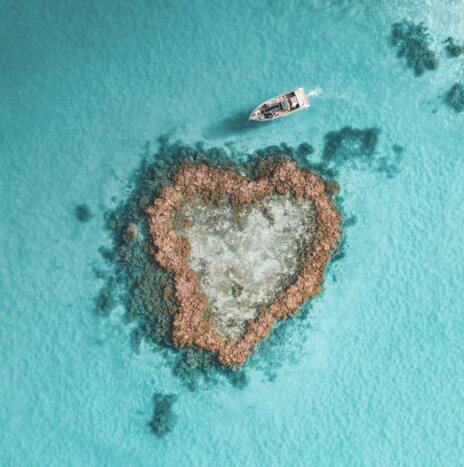 Exclusive Pontoon Visit to Heart Reef - Scenic Helicopter, Glass Bottom ...