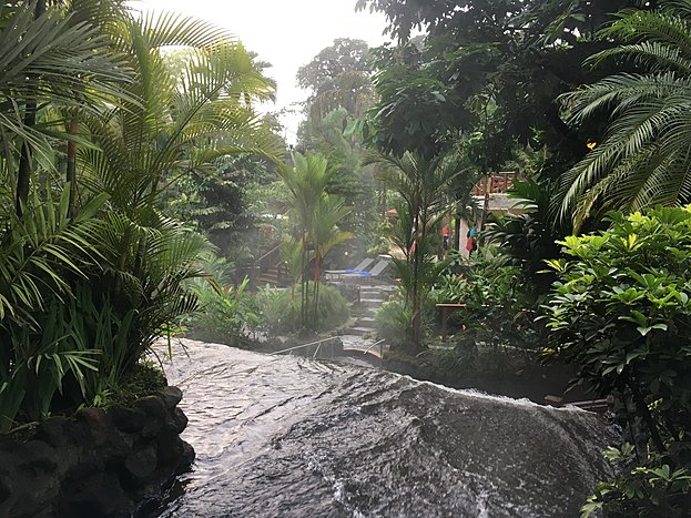 Tabacón Hot Springs in Arenal/La Fortuna | kimkim